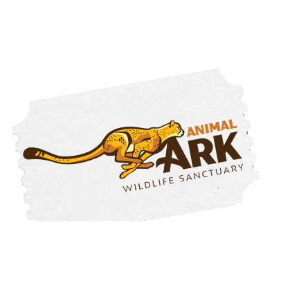 Stroll Magazine | Lakeridge | Reno, NV