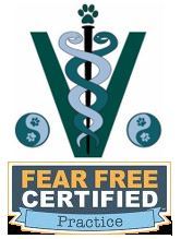 Stroll Magazine | Stroll Cheval | Tampa, FL